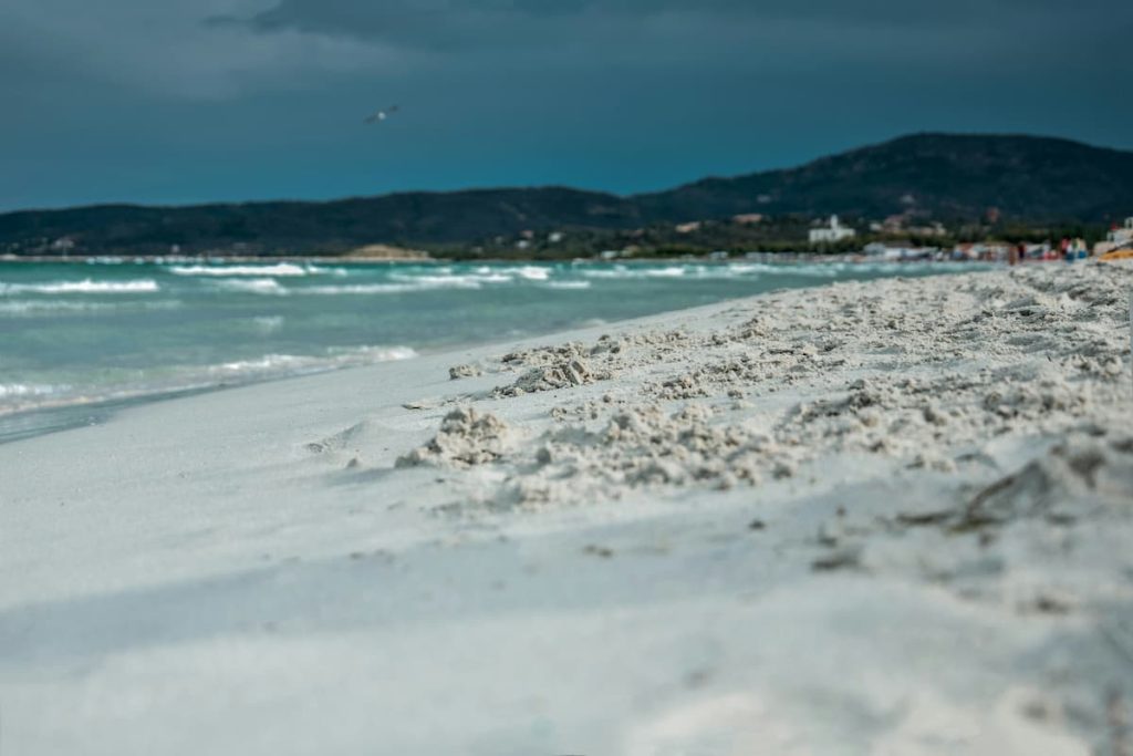 Coastal Gardening with Natives: Salt-Tolerant Plants for Sydney’s ...
